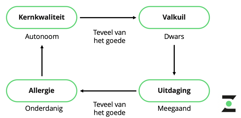 Ofman Kernkwadranten: Jouw Kernkwaliteiten & Voorbeelden